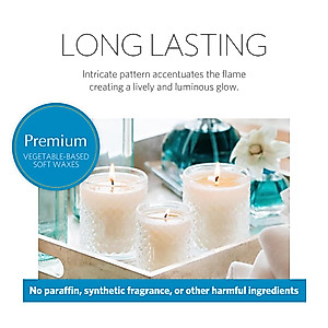 AGRARIA Scented Candles, Long-Lasting Premium Soy Wax Candles, Vegan, Scented Candles for Home, Elegant Home Fragrance Scented Candles Gifts, 7oz