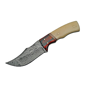 Szco Supplies DM-1078 Damascus Knife with Bone/Cherry Colorwood Handle