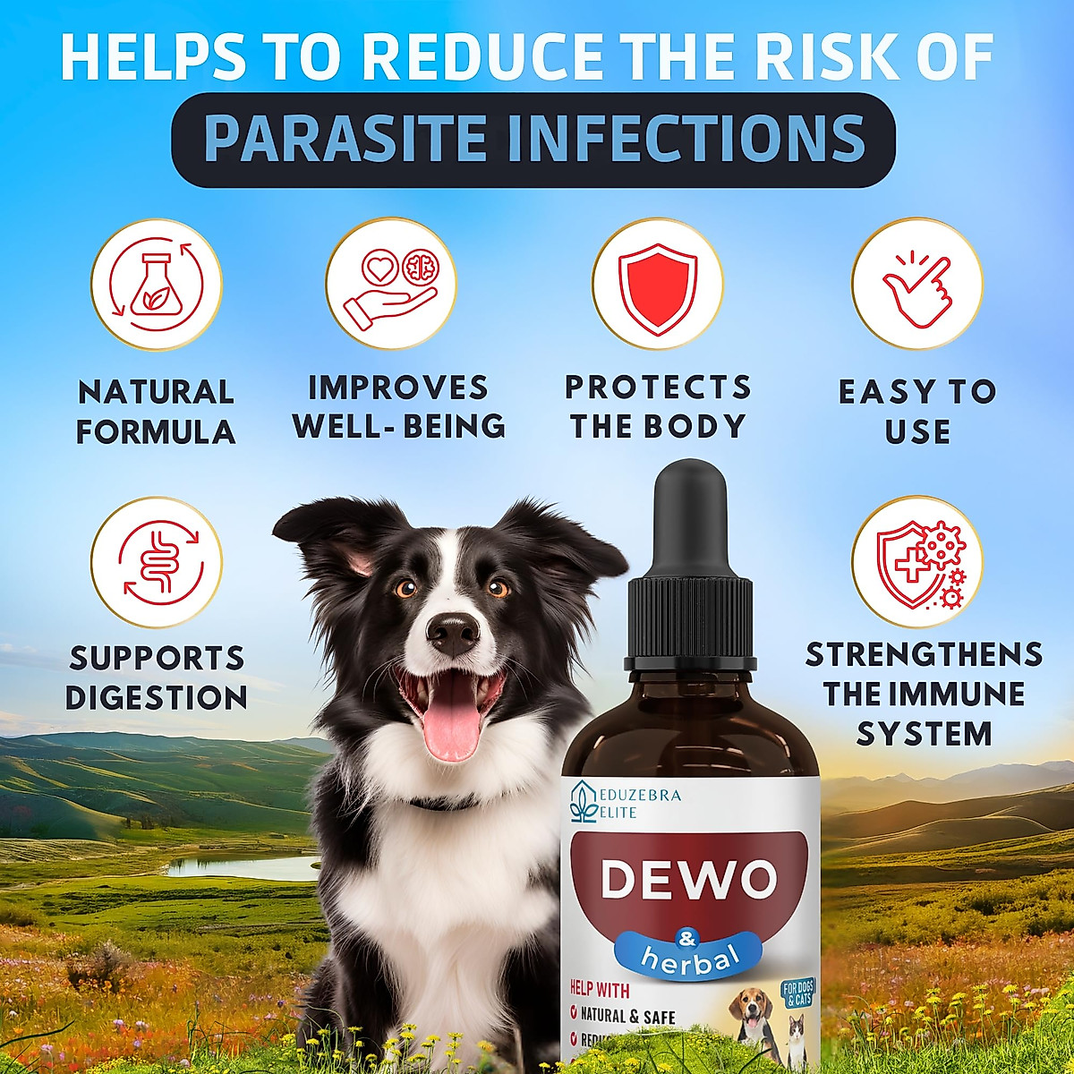 Cats and Dogs Natural Broad Spectrum Treatment - Against Parasites and Toxins - Herbal Medicine Support - All Breeds and Size - Puppy & Kitten