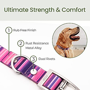 Rubyloo Waterproof Dog Collar | 100% Waterproof, Stink Proof, Odor Proof, Fade Proof, Dirt Proof | Easy to Clean, Soft & Flexible Yet Durable | Rust & Corrosion Resistant Zinc Alloy Buckle | Pink-M