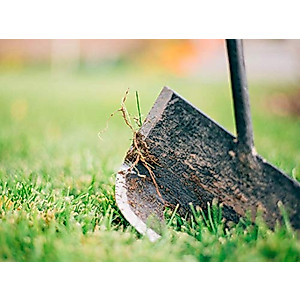 Kwik Edge Tool - Garden Edger Weeder - Soil Cultivator - Hoe Long Handle Grass Flower Backyard Gardening Tool