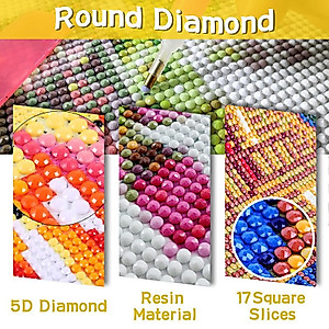 SKRYUIE 5D Diamond Art Painting Kits for Adult Full Round Drill, DIY Paint with Diamonds Art Crystal Embroidery Cross Stitch Art Craft Wall Office Decor 12x16 inch / 30x40 cm B5381