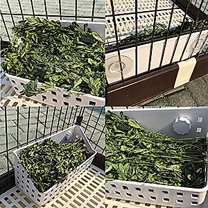 Rabbit Hay Feeder Large Hay Manger Holder for Bunny Guinea Pig Chinchilla (12.5 X 4.5 X 5.3 inch)