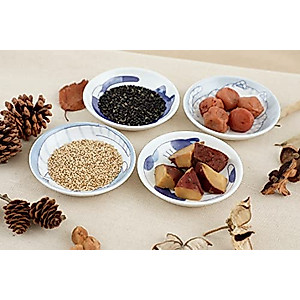 HAKONE YOSEGI Japanese Small Plate Set Ceramic Cute Cats Design Appetizer Dessert Sushi Sauce 3.94 x 0.8 Inches Set of 4