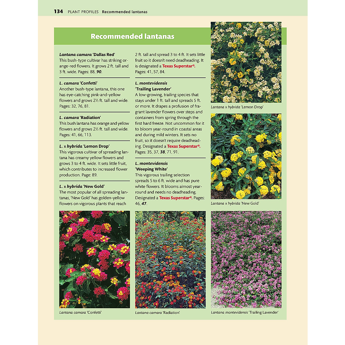 Texas Home Landscaping, 3rd Edition: 48 Landscape Designs, 200+ Plants & Flowers Best Suited to the Region (Creative Homeowner) Gardening Ideas, Plans, and Outdoor DIY Projects for TX and OK