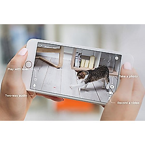 Petcube [2017 Item] Play Smart Pet Camera with Interactive Laser Toy. Remote Dog/Cat Monitoring with HD 1080p Video, Two-Way Audio, Night Vision, Sound/Motion Alerts. App-Enabled Pet and Home Safety