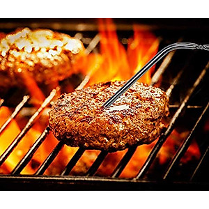 BBQ Future 2-Pack BBQ Grill Meat Temperature Probe for Camp Chef Pellet Grills, Stainless Steel PRO Digital Thermostat Probe