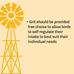 New Country Organics | Flock Perfect Starter Grit for Chicks to Help aid in Digestion | 8 lbs