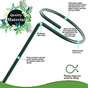 HiGift 10 Pack 17 inches Plant Support Plant Stakes with 20 Pcs Plant Clips, Metal Garden Single Stem Flower Support Stick Plant Cage Support Ring for Amaryllis Orchid Peony Rose Tomato