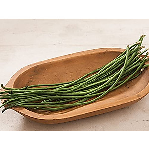 David's Garden Seeds Bean Pole Yard Long Gita FBA-00035 (Green) 50 Non-GMO, Heirloom Seeds