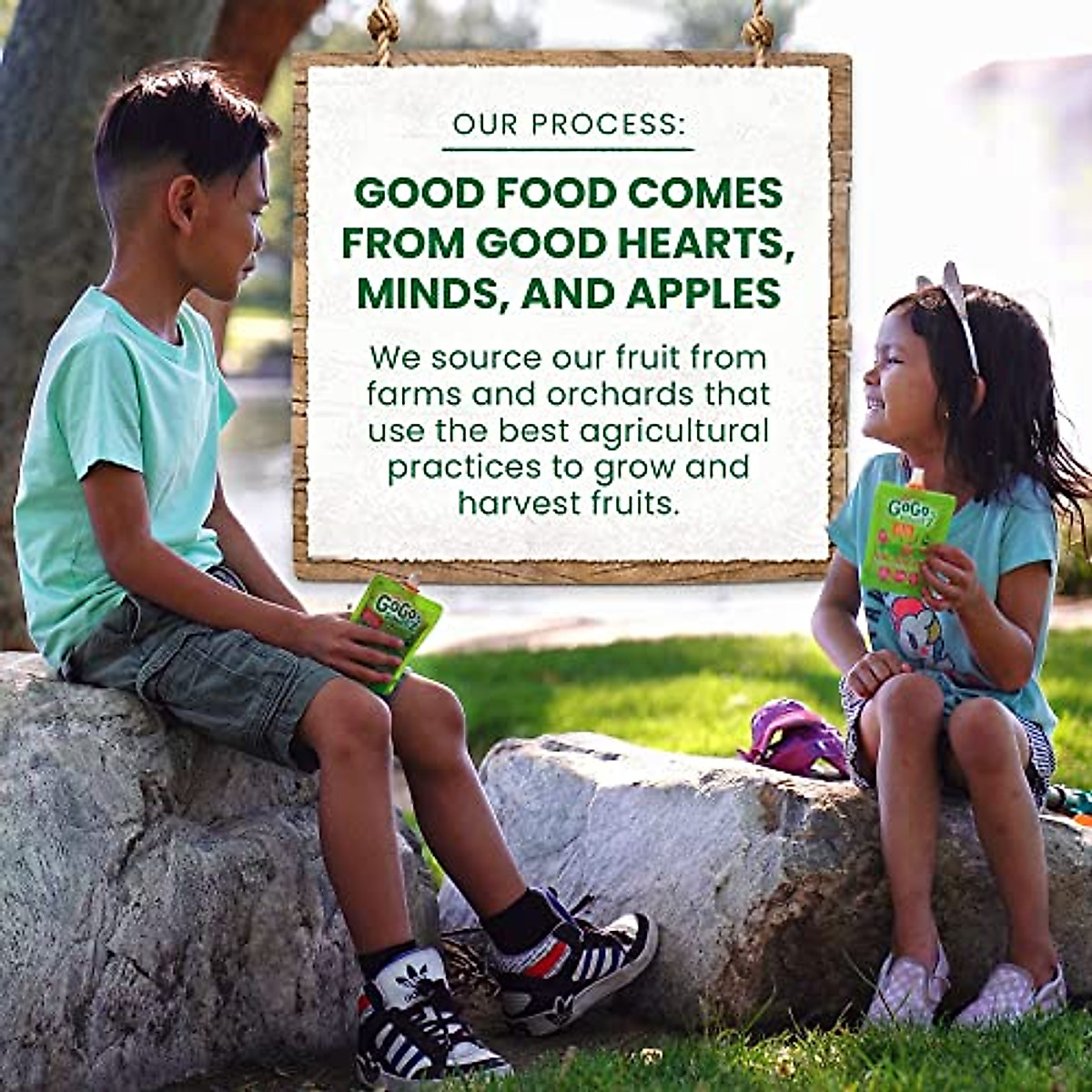 GoGo squeeZ Fruit on the Go, Apple Apple, 3.2 oz (Pack of 18), Unsweetened Fruit Snacks for Kids, Gluten Free, Nut and Dairy Free, Recloseable Cap, BPA Free Pouches