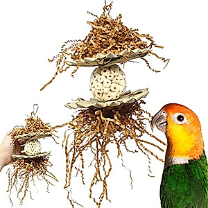 Bonka Bird Toys 3611 Crazy Sola Medium Bird Toy Natural Sola Parrot Cockatoo Amazon Conure Parakeet Budgie Finch Canary African Grey