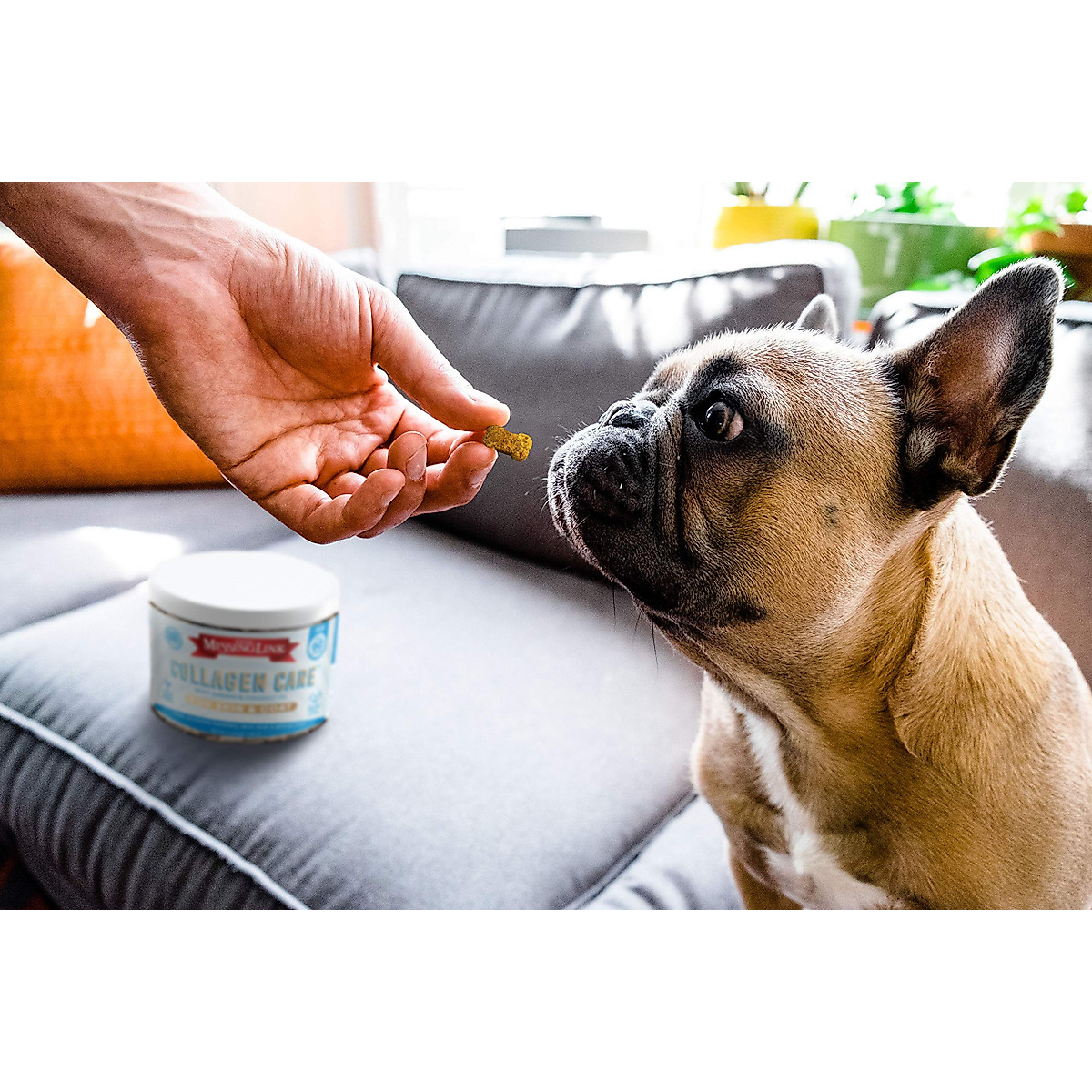 The Missing Link Collagen Care Dog Supplement Soft Chews for Skin & Coat, 60-Count, 2-Pack