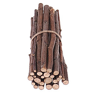 Hypeety Pet Snacks Apple Wood Sticks Chew Toy for Squirrel Rabbits Bunny Guinea Pigs Chinchilla Hamster 100g (3.5oz)