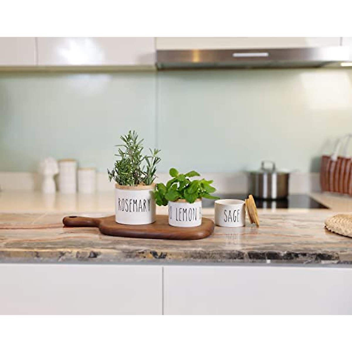 MaisoNovo Regrow Indoor Herb Garden Starter Kit for Kitchen Counter & Windowsill | Herb Garden Kit Indoor for Growing Fresh Herbs from Scraps in Water | Set of 4 Pods