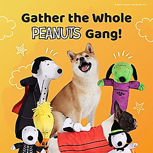 Peanuts for Pets 6 Inch Halloween Witch Plush Dog Toy with Squeaker, Small Dog Toy - Fabric Plush Dog Toys, Cute Dog Toys for All Dogs - Squeaky Dog Toys, Stuffed Dog Toys