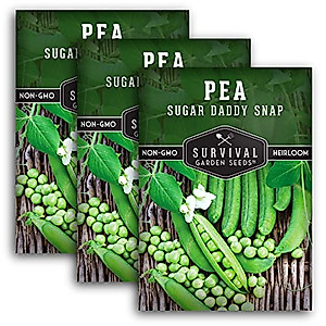 Survival Garden Seeds - Sugar Daddy Snap Pea Seed for Planting - 2 Packs with Instructions to Plant and Grow in Delicious Pea Pods Your Home Vegetable Garden - Non-GMO Heirloom Variety