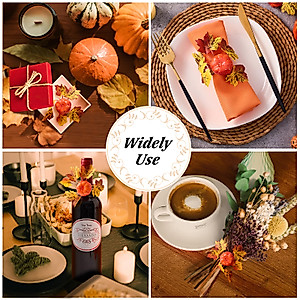 WORTHYEAH Fall Napkins, Fall Napkins Set of 16, Thanksgiving Napkin Rings Set of 8 PCS & 8 PCS Fall Cloth Napkins for Thanksgiving Table Decorations, Fall Banquet, Holiday Dinner Party