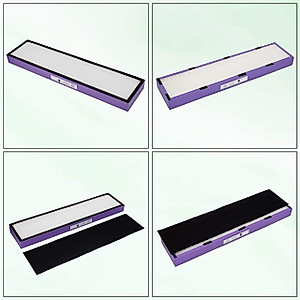 Drolma 2 Pack FLT5250PT Filter C True HEPA Replacement Filters + Pre Filter, Compatible with GermGuardian Air Purifier AC5250PT, AC5000E, AC5300B, AC5350W, AC5350B, CDAP5500 Series Filter C, 2 Units