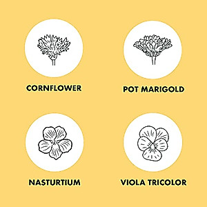 Edible Flowers Indoor Garden Seed Starter Kit - Non-GMO Heirloom Seeds for Planting, Soil, Burlap Pots, Plant Markers, Trimmers, Wood Gift Box, DIY Growing Kits, Home Gardening Gifts for Plant Lovers