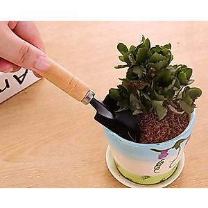 TPELKY Mini Garden Tools Set of 3 Mini Garden Tools Spade/Rake/Spade set of gardening tools