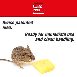 SWISSINNO Mouse and Rat Trap Bait Syringes - Replacement System - Bait for Rodent - Attracts Mice and Rats - Pests Attractant - Peanut Butter - Pest Control Safe for Children and Pets. Set of 2