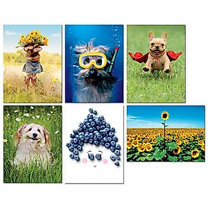 Avanti Press Thank You Greeting Card Variety Pack, 6-Count (32089)