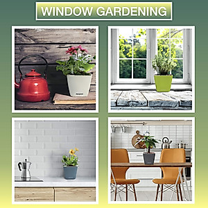 Window Garden Aquaphoric Self Watering Planter 5” and Fiber Soil, Foolproof Indoor Home Garden. Decorative Planter Pot for All Plants, Flowers, Herbs, Indoor Herb Planter