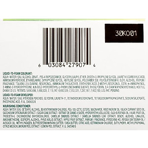 Garnier Nutrisse Nourishing Color Foam, Light Brown