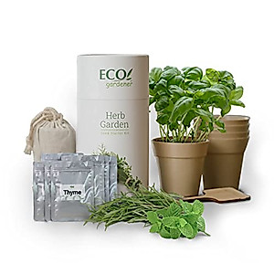 ECOgardener Herb Garden Kits - Indoor Herb Garden Kits - Herb Seed Kits for Indoor Gardening - Window or Kitchen Herb Garden Kits - 5 Pack + 2 Bonus Herbs