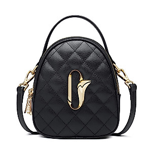 iFOXER Leather Crossbody Bags for Women Fashion Leather Handbag Shoulder Bag Designer Mini Bags (black)