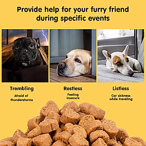 Zingly Hemp Calming Chews for Dogs Anxiety Relief for Dogs Calming Chews - Anxiety Relief Treats, Dog Separation Stress and Anxiety Relief Calming Care Treats for Dogs, Bacon, 30 Counts