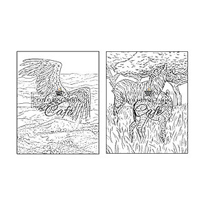 100 Wildlife Scenes: An Adult Coloring Book Featuring 100 Most Beautiful Wildlife Scenes with Animals, Birds and Flowers from Oceans, Jungles, Forests and Savannas