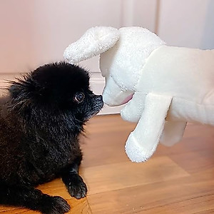 BONBI ALCON Animal Mitten Love Dog Dachshund, Plush Dog Chew Toy, with Whistle