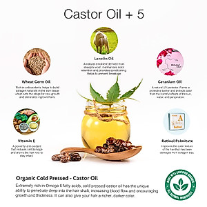 Godefroy Color Keep For Lashes and Brows