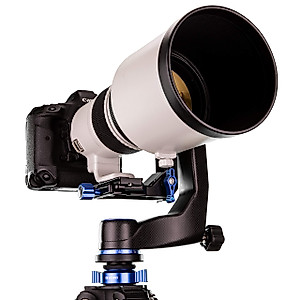 Benro Carbon Fiber Gimbal Head with PL100LW Plate (GH5C)