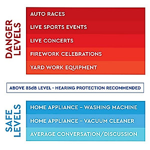 Etymotic Research ER20XS High-Fidelity Earplugs (Concerts, Musicians, Airplanes, Motorcycles, Sensitivity and Universal Hearing Protection) - Standard Fit, Clear Stem, Clear/Frost, 1 Count (Pack of 1)