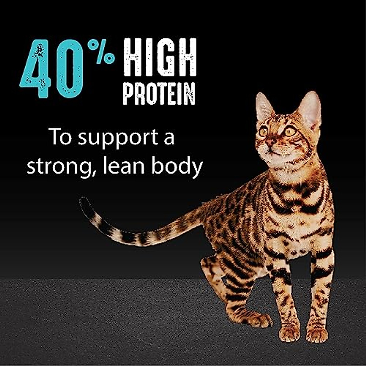 CRAVE Grain Free Adult High Protein Natural Dry Cat Food with Protein from Salmon & Ocean Fish 4 lb