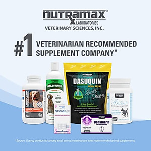 Nutramax Solliquin Calming Behavioral Health Supplement for All Dogs Over 8lbs - With L-Theanine, Magnolia / Phellodendron, and Whey Protein Concentrate, 60 Chewable Tablets
