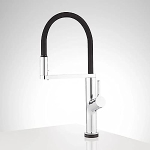 Signature Hardware 949181 Fanning Filtration Kitchen Faucet