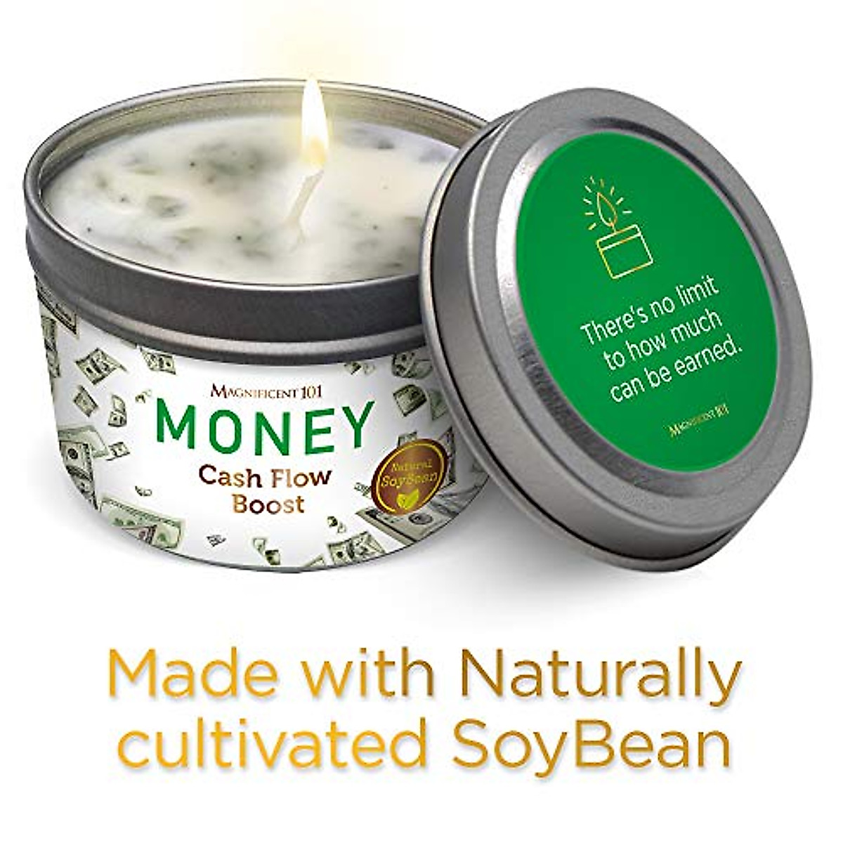 MAGNIFICENT 101 Money Aromatherapy Candle for Getting a Cash Flow Boost - Sage Cinnamon Scented Natural Soybean Wax Tin Candle for Purification and Chakra Healing