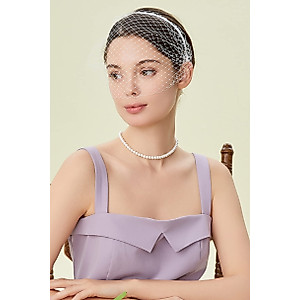 BABEYOND 1920s Flapper Fascinator Mesh Veil Headband Bridal Wedding Tea Party Fascinator Veil for Women