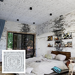 PAINTSDECOR Faux Tin Painting Panel Embellished Ceiling Tiles for Cafe Club Salon Hotel Store Bar 2'x2' PL04 Distress Crack White Black