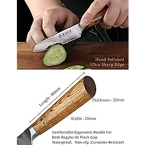 Paring Knife 3.8Inch Damascus Steel Knife Professional Super Steel VG10 Comfortable Ergonomic Wood Grain Handle Very Sharp Paring Knives for Kitchen–Gift Box