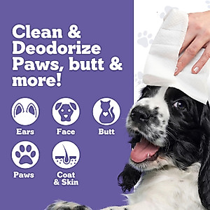 Nuesta Pets XL Lavender Vanilla Pet Wipes-Deodorizing No Bath Cleaning for Dogs & Puppy Grooming | Ear, Face, Butt, Paw Wet Wipe | Enriched w/Aloe, Chamomile, Oat Amino Acids | Healthier Coat & Skin