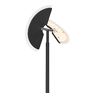 Worldwide Lighting AMZ63442-001 Mantis Floor Lamp, Black