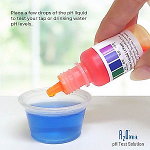 A2O Water - Made in USA, PH Tester (WHT/100-125 Tests)