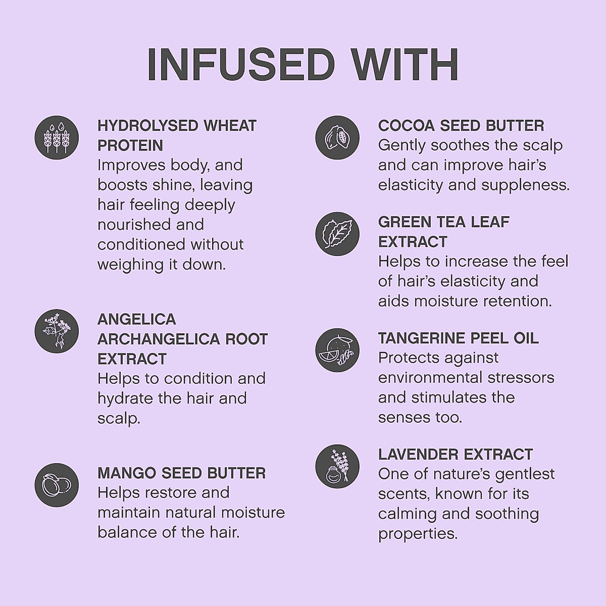 KEVIN.MURPHY BLONDE.ANGEL.WASH & BLONDE.ANGEL - Purple Shampoo for Blondes - Blonde Colour Conditioner - Colour Enhancement Hair Care - Colour Safe - Paraben/Sulphate Free - 250 mL / 8.4 fl oz, 2 Pack