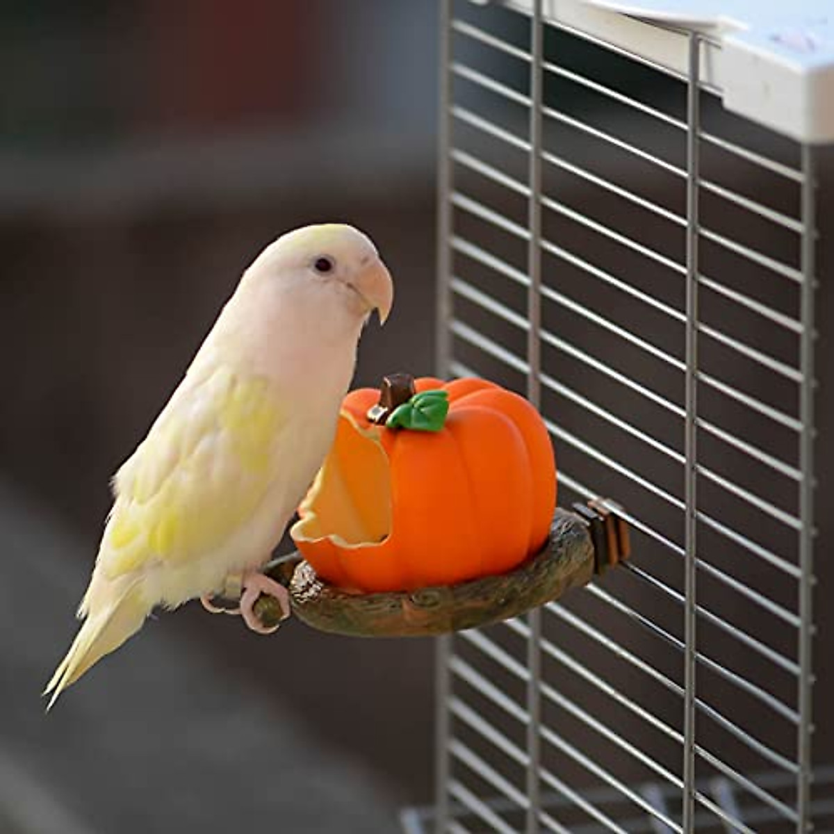 WAYUTO 2Pcs Bird Feeding Dish Cups Fruit Shaped Parrot Food Bowl Snap Holder Simulation Branch Stand Birds Cage Treats Seed Dispenser for Small & Young Birds Parakeet Conure Cockatiels Chinchilla