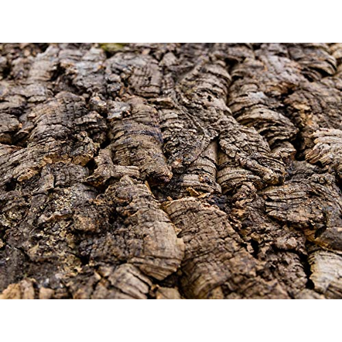 Josh's Frogs Natural Virgin Cork Sheet Terrarium Background (~23.6x17.7")